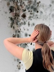 Mould removal Singapore - Mould remediation | Mouldgone Professionals
