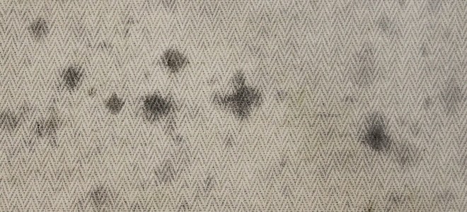 How To Remove Mould from Clothes | Prevent Mouldy Clothes - Mouldgone.com