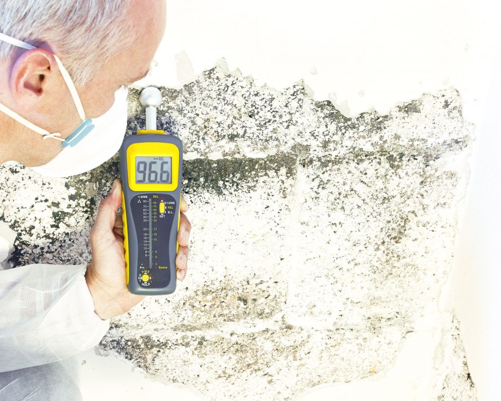 Mouldgone - Mould Inspection Services